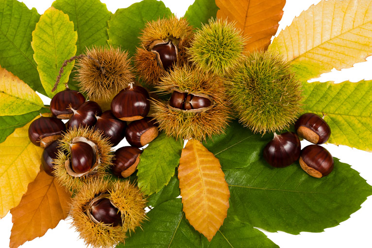 Che buone (e sane), le castagne! - Confidenze