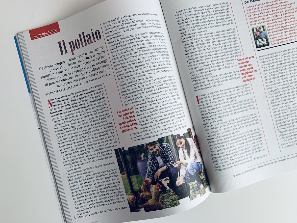 Il pollaio - Confidenze